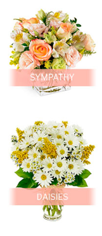 Flower Shops Indiana Pa 💐 Jan 2026